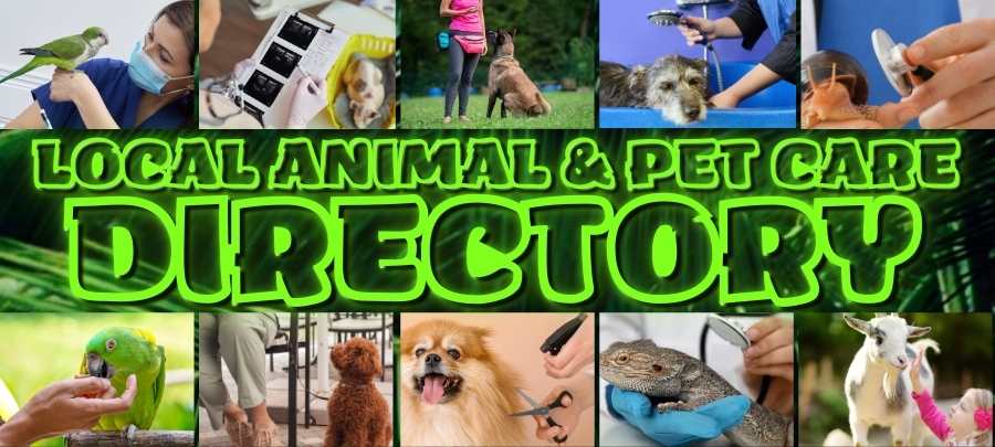 PET DIRECTORY