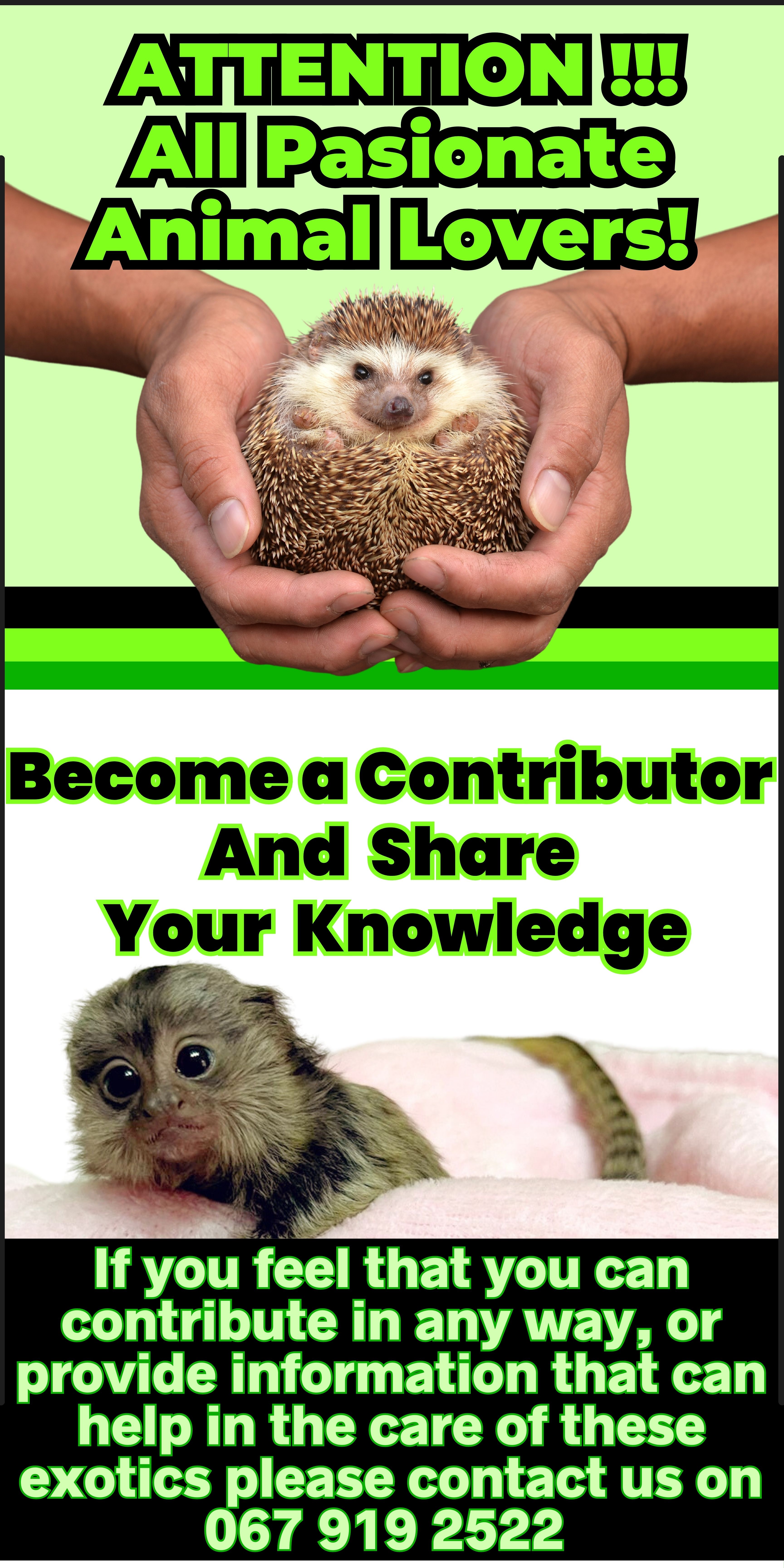 South African Laws on Keeping Exotic Animals as Pets: A Province-by ...